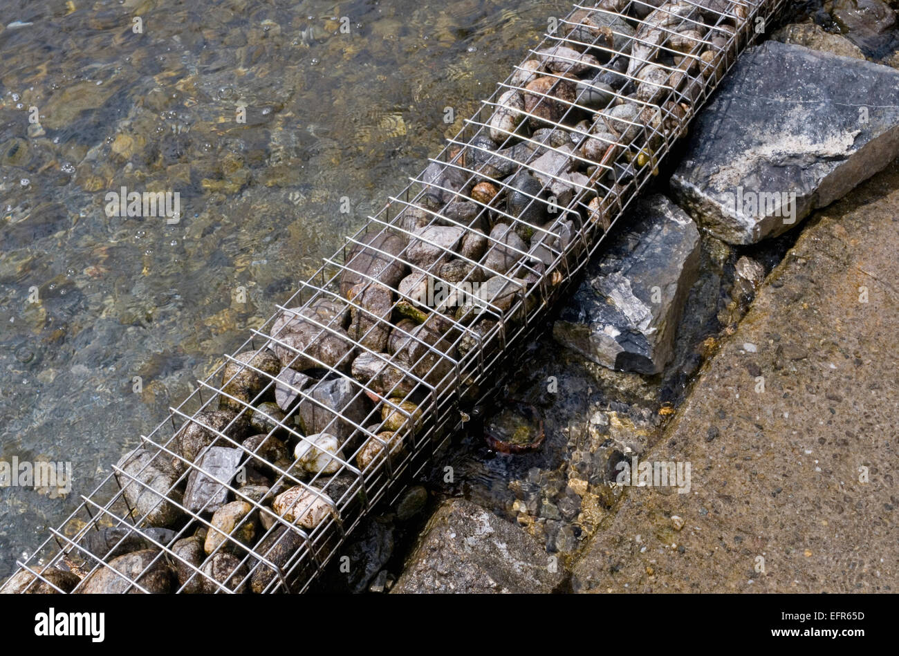 wire cages or gabions containing large stones stacked and stepped as ...
