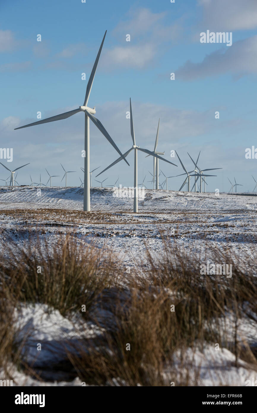 Whitelee wind farm, the UK's largest onshore wind farm, on Eaglesham ...