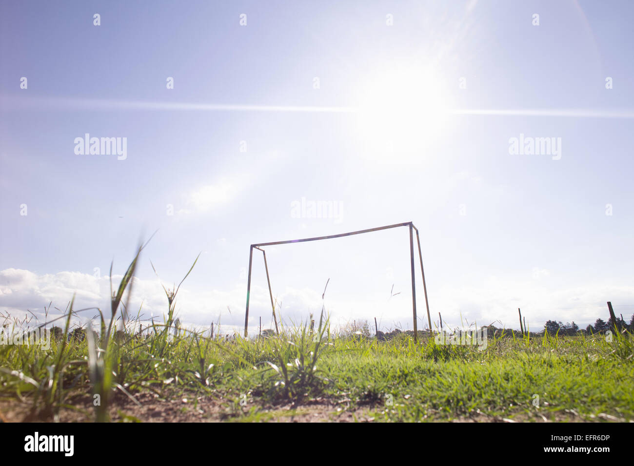 Soccer field light hi-res stock photography and images - Alamy