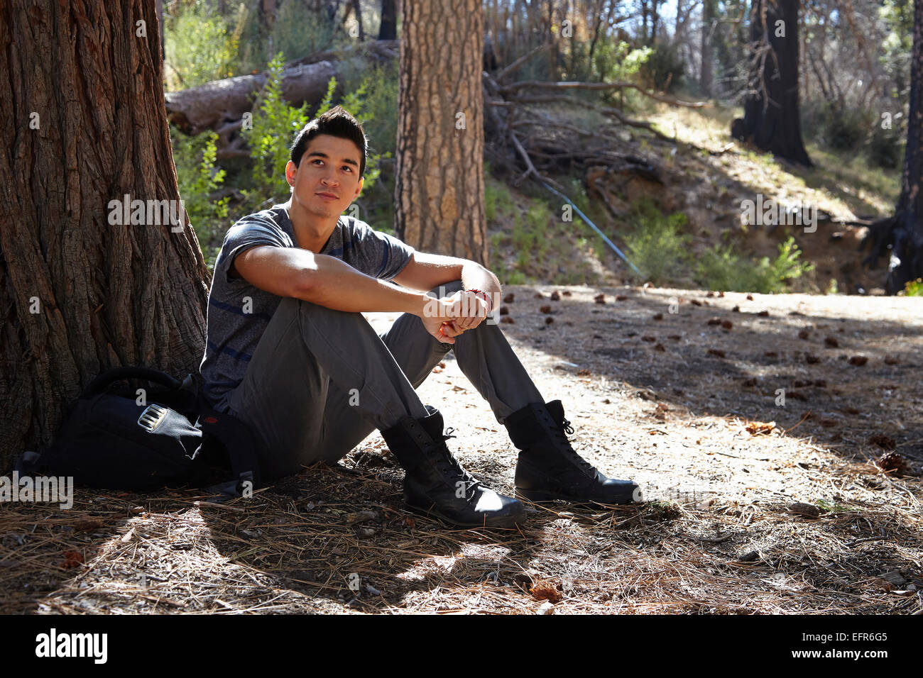Portrait of young man sitting in forest, Los Angeles, California, USA ...