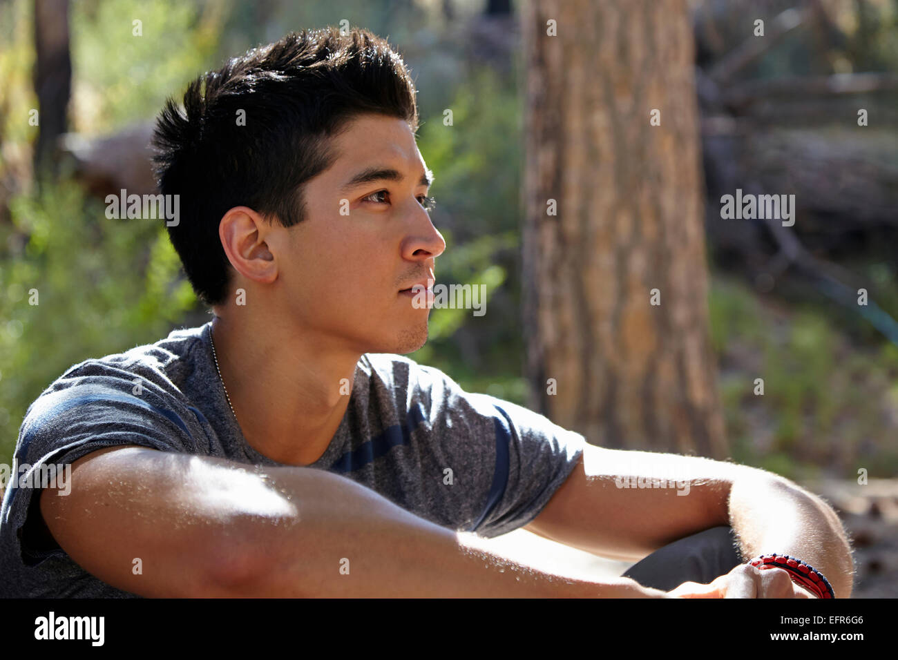 Portrait of young man in forest, Los Angeles, California, USA Stock ...