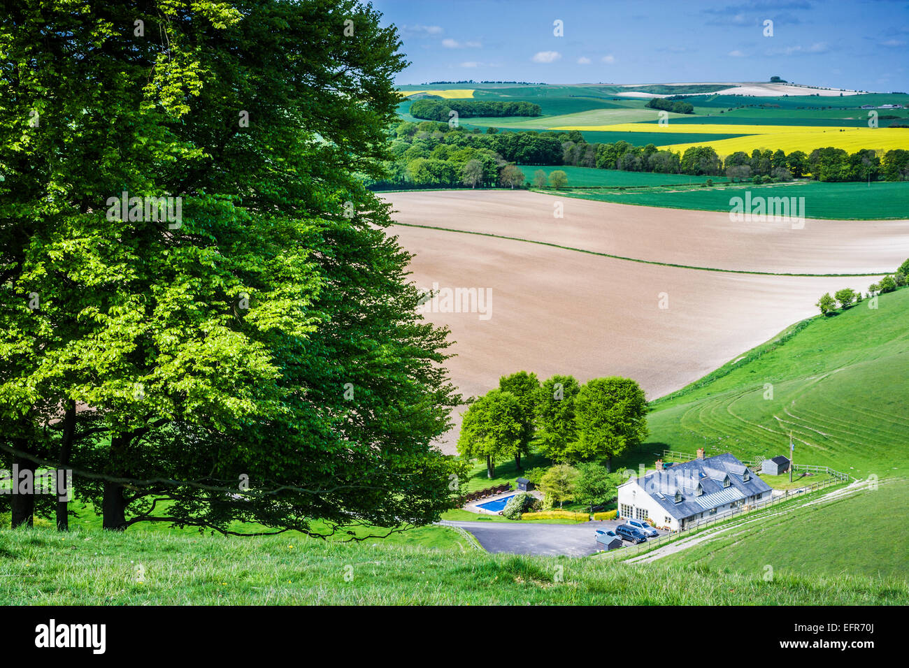 View over farmland and rolling countryside with fields of rape in ...