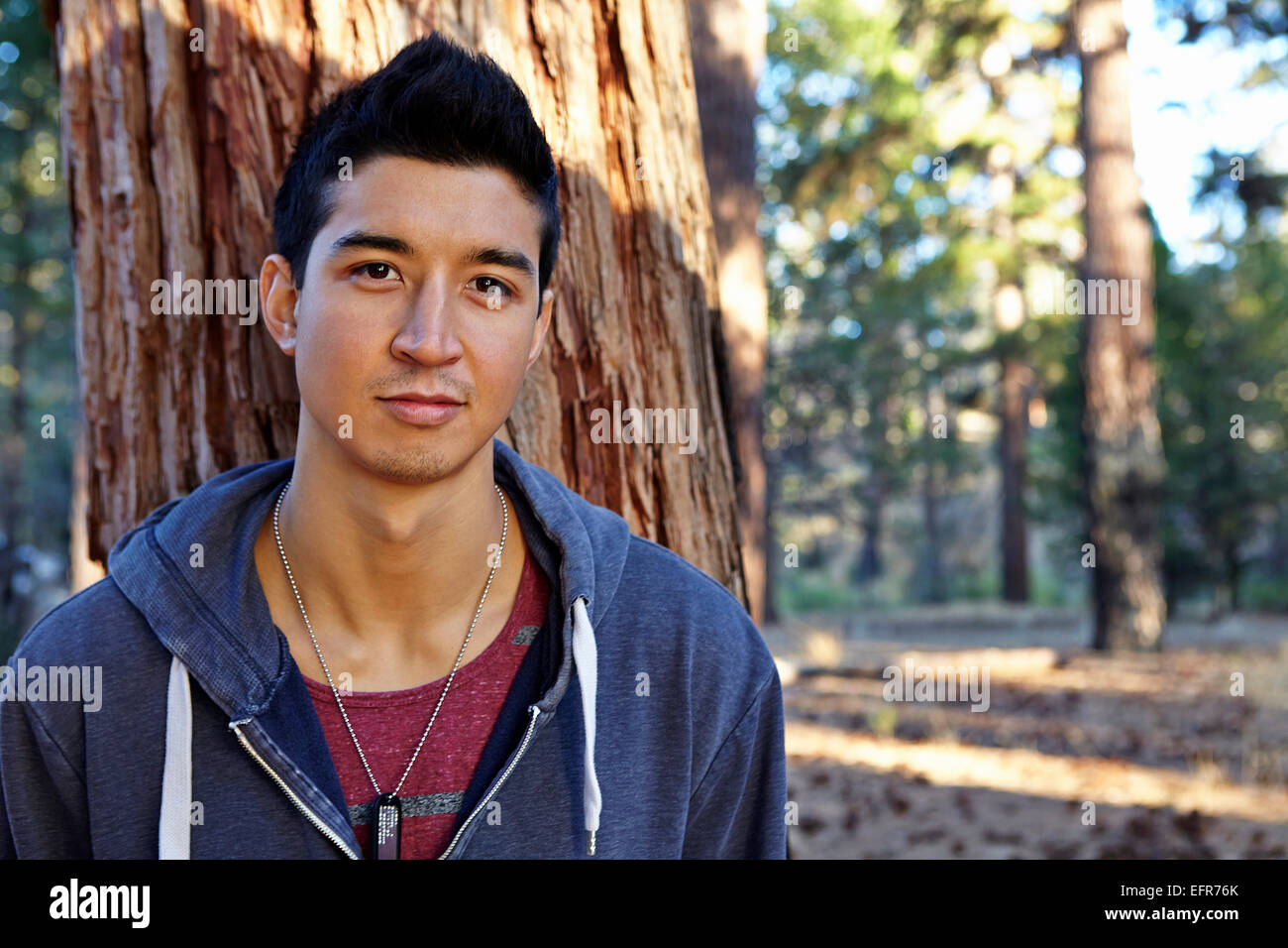 Portrait of young man in forest, Los Angeles, California, USA Stock ...