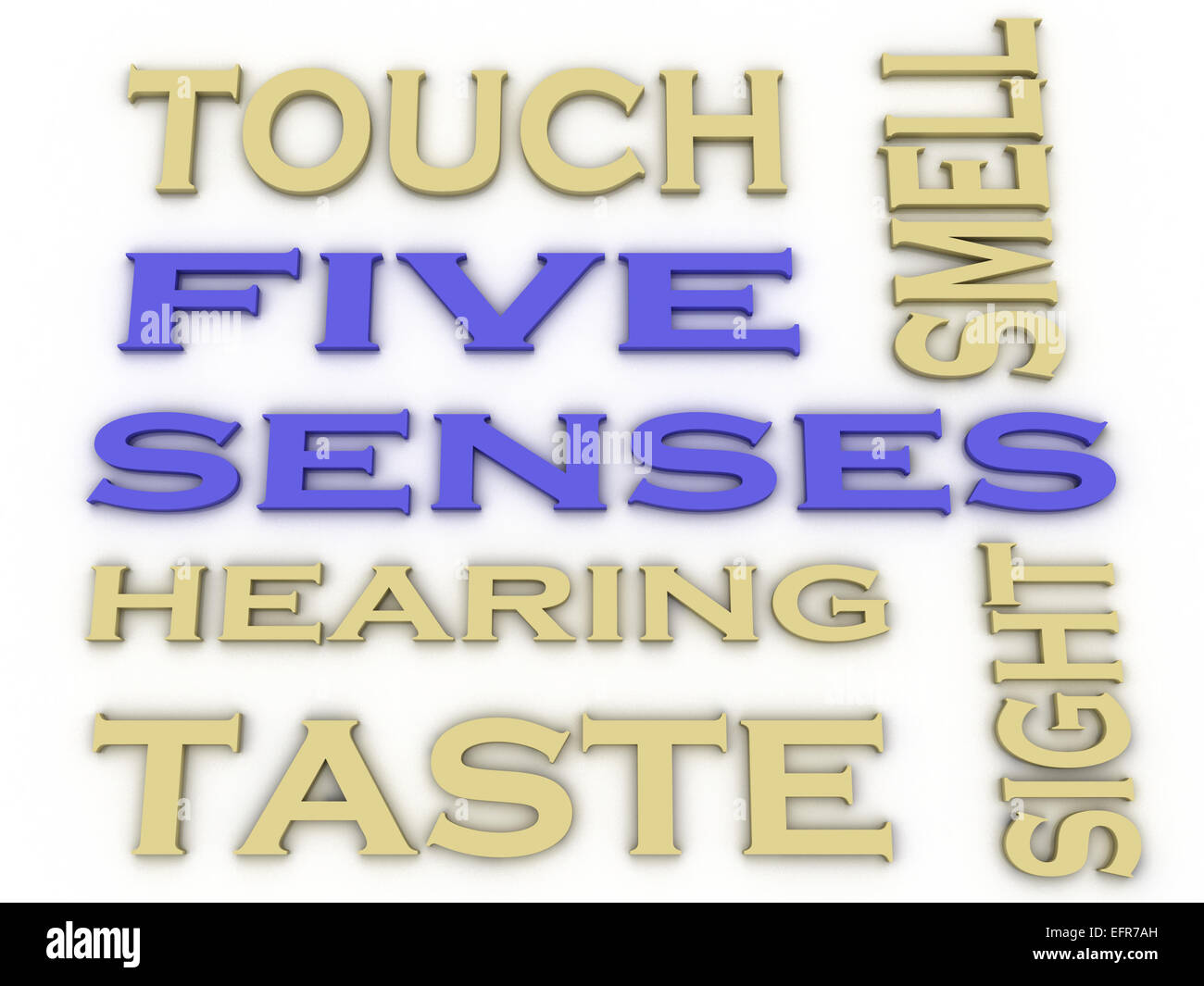 Five senses hi-res stock photography and images - Alamy