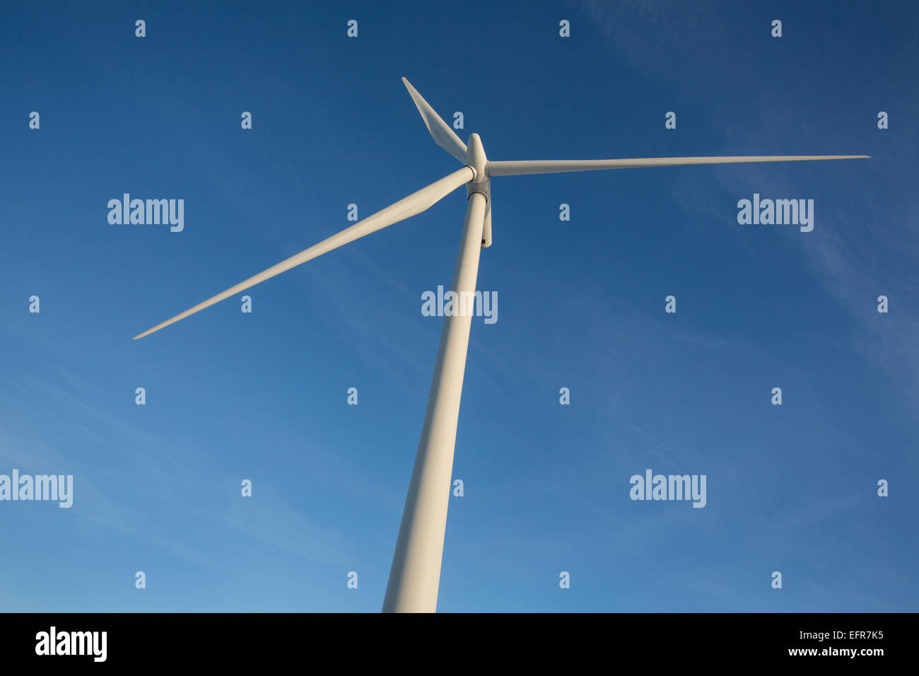 Whitelee wind farm, the UK's largest onshore wind farm, on Eaglesham ...