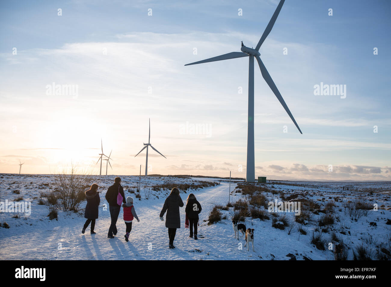 Whitelee wind farm, the UK's largest onshore wind farm, on Eaglesham ...