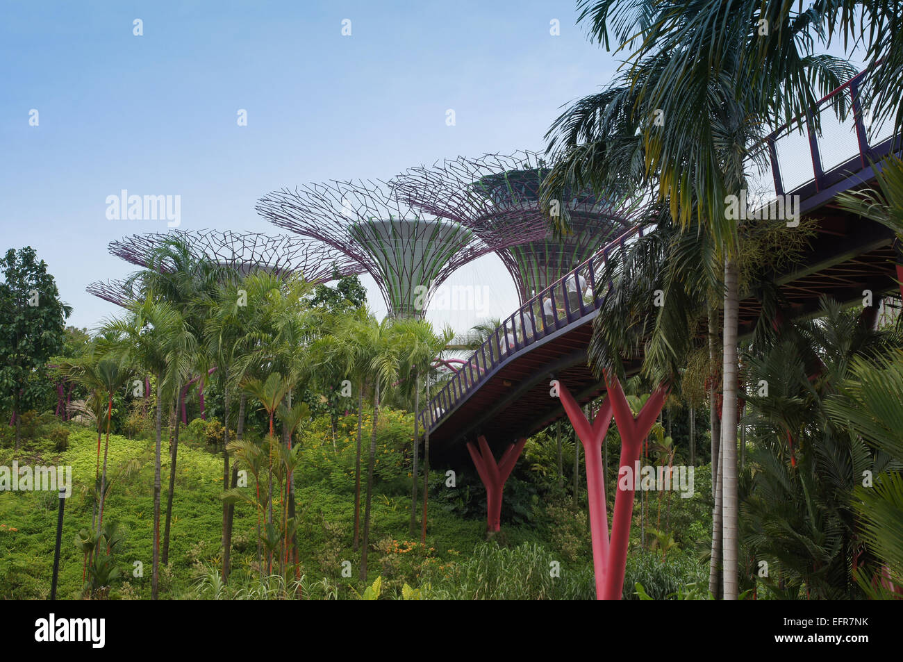City & emerald landscape at Singapore's Gardens By The Bay Stock Photo ...