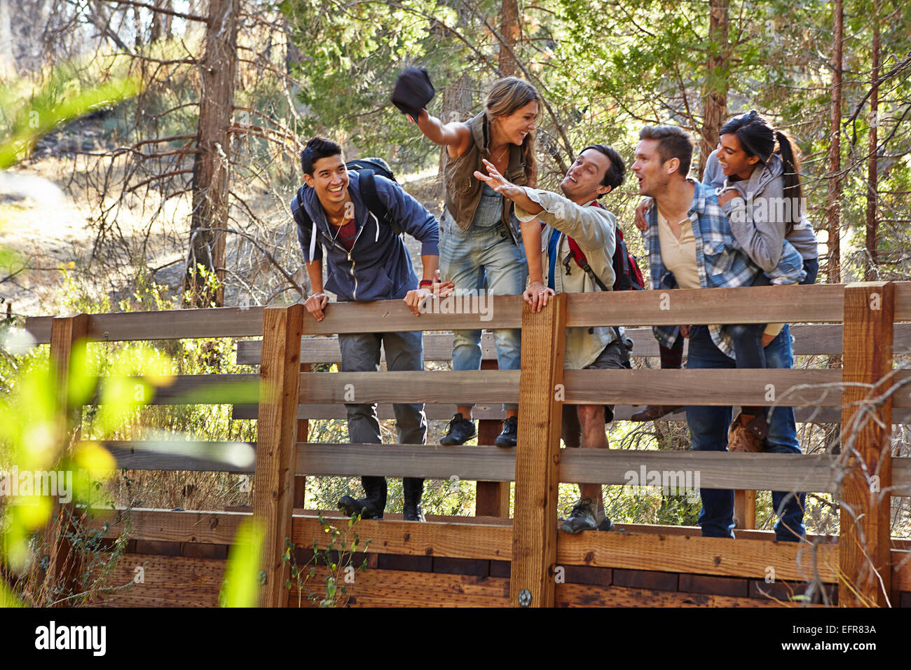 Five young adult friends fooling around on wooden bridge in forest, Los ...