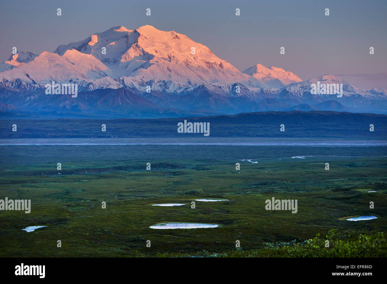 View of snow capped Mount McKinley at sunset, Denali National Park ...