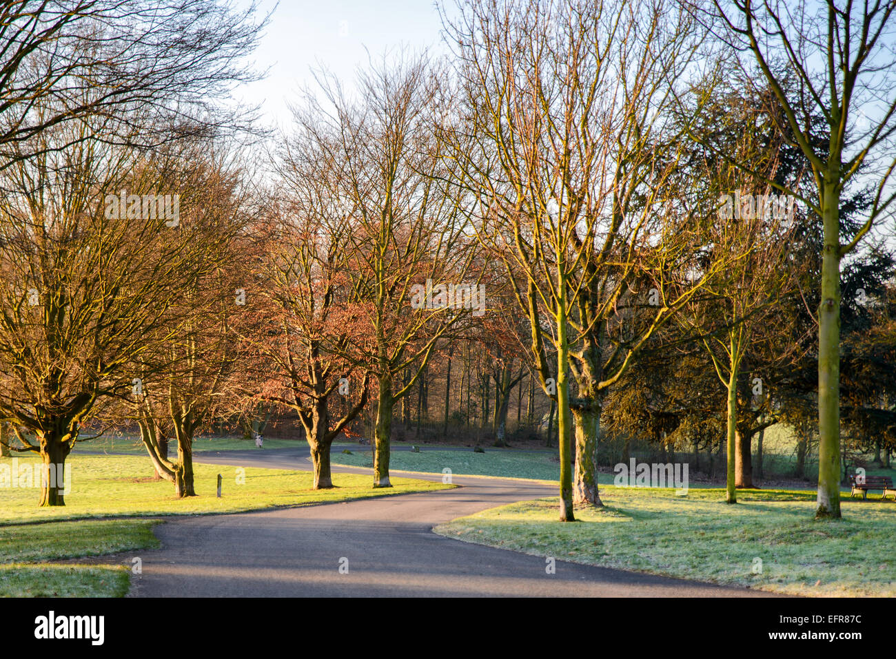 Stock image of a trail through a nature park Stock Photo - Alamy