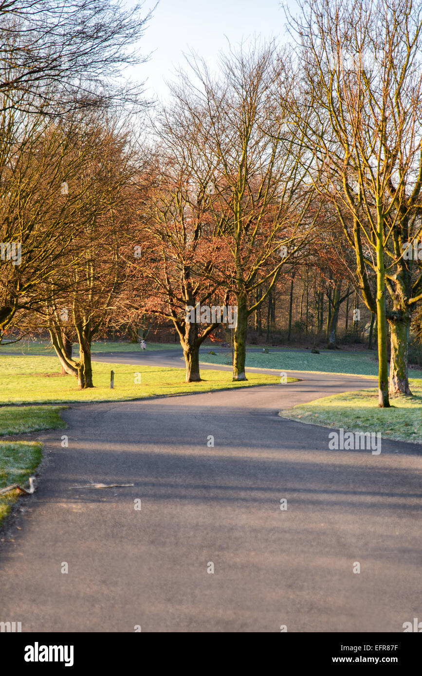 Stock image of a trail through a nature park Stock Photo - Alamy