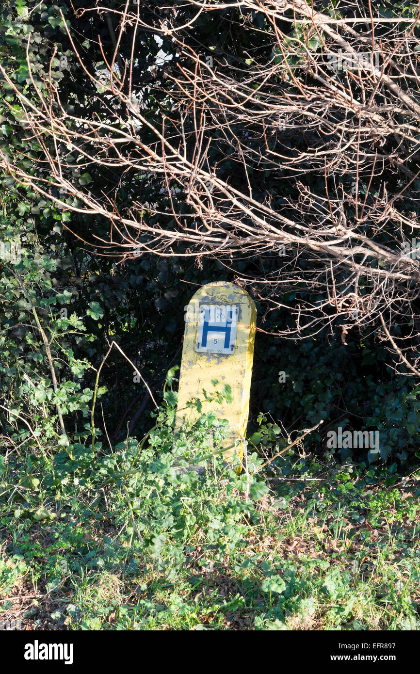 Yellow hydrant marker hi-res stock photography and images - Alamy