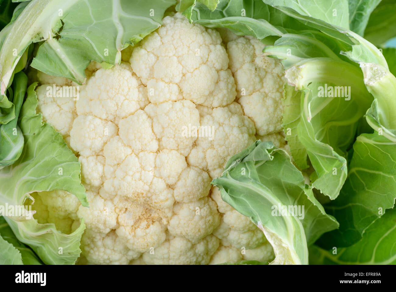 Image of cauliflower hi-res stock photography and images - Alamy