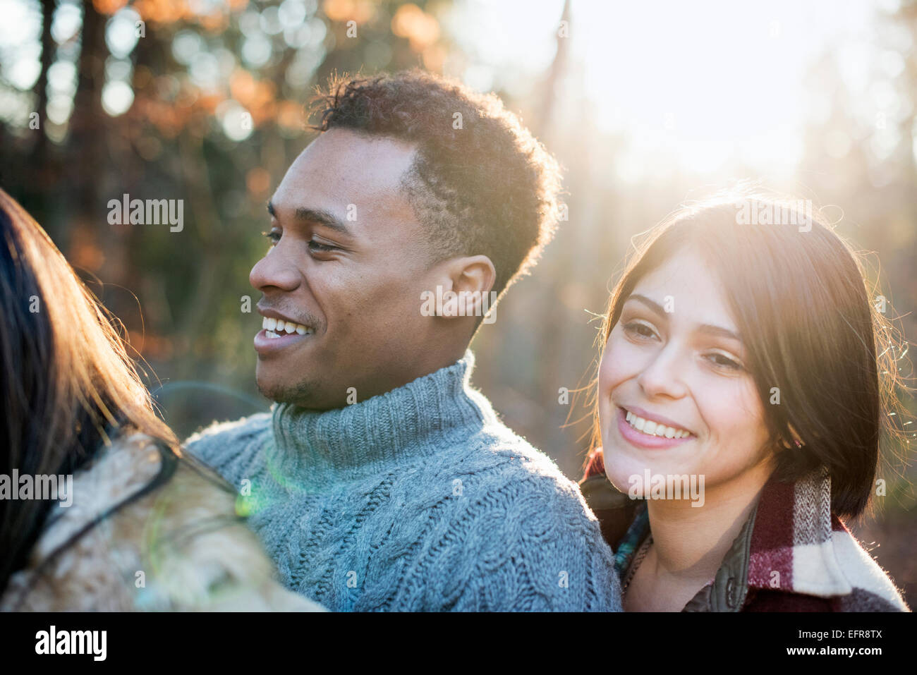 Sunlit forest hi-res stock photography and images - Alamy