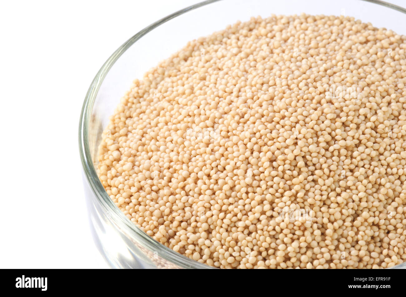 Amaranth Seeds High Resolution Stock Photography and Images - Alamy