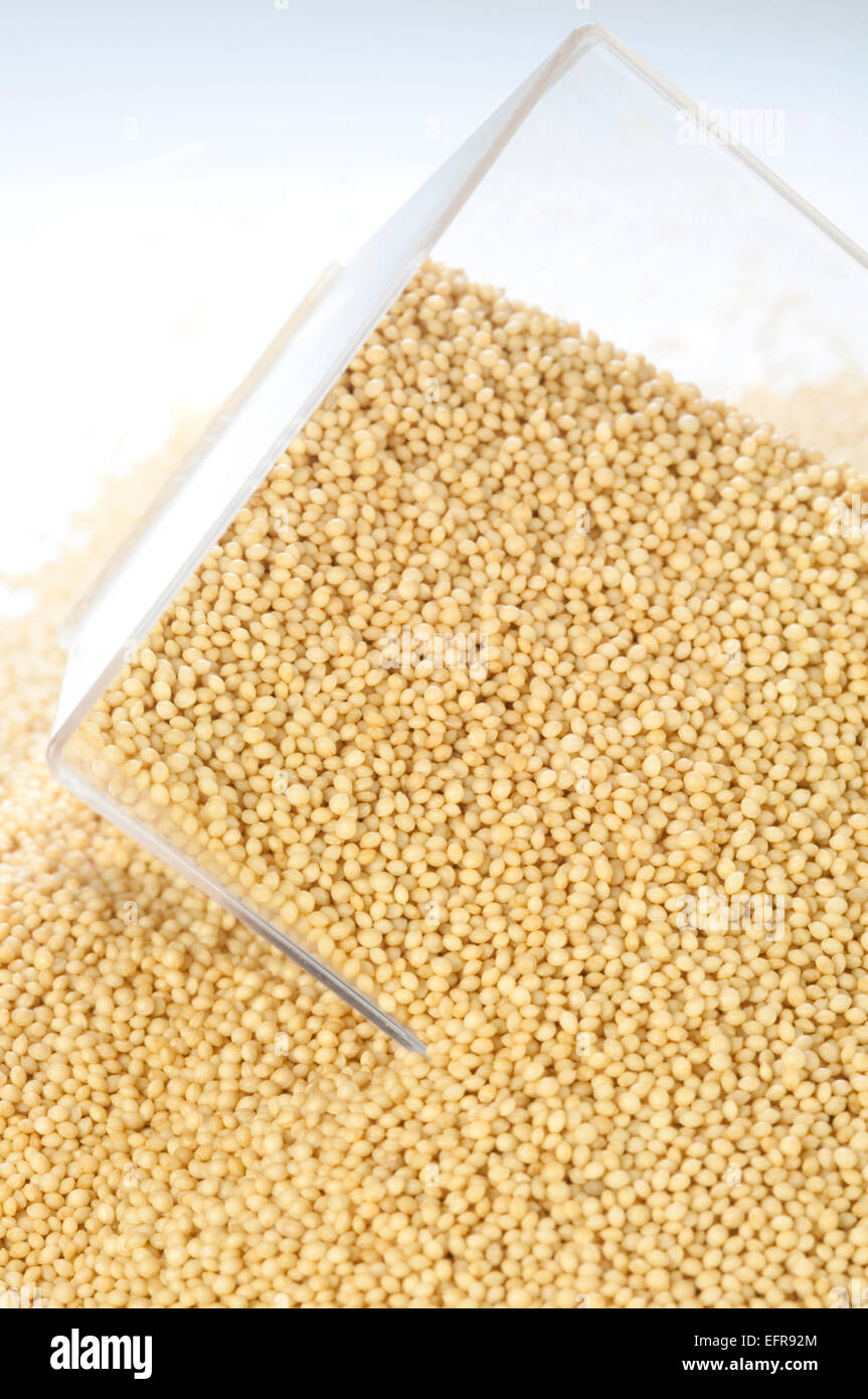 Close up amaranth seeds hi-res stock photography and images - Alamy