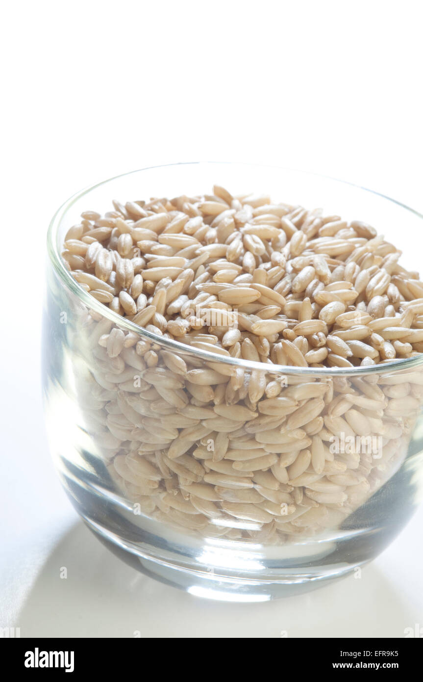 Oat seed husks hi-res stock photography and images - Alamy
