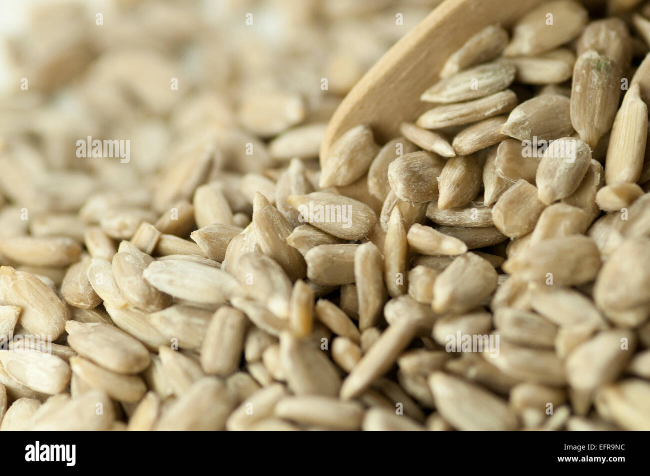 Sunflower seeds full frame hi-res stock photography and images - Alamy