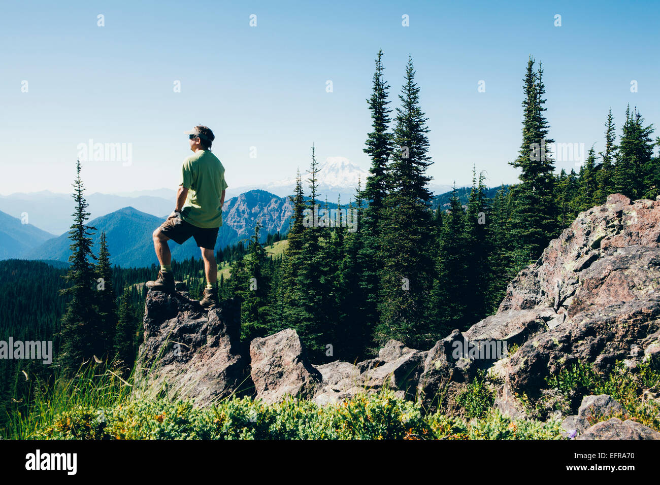 Washington, Gifford Pinchot NF, Goat Rocks Wilderness, Cascade Range ...