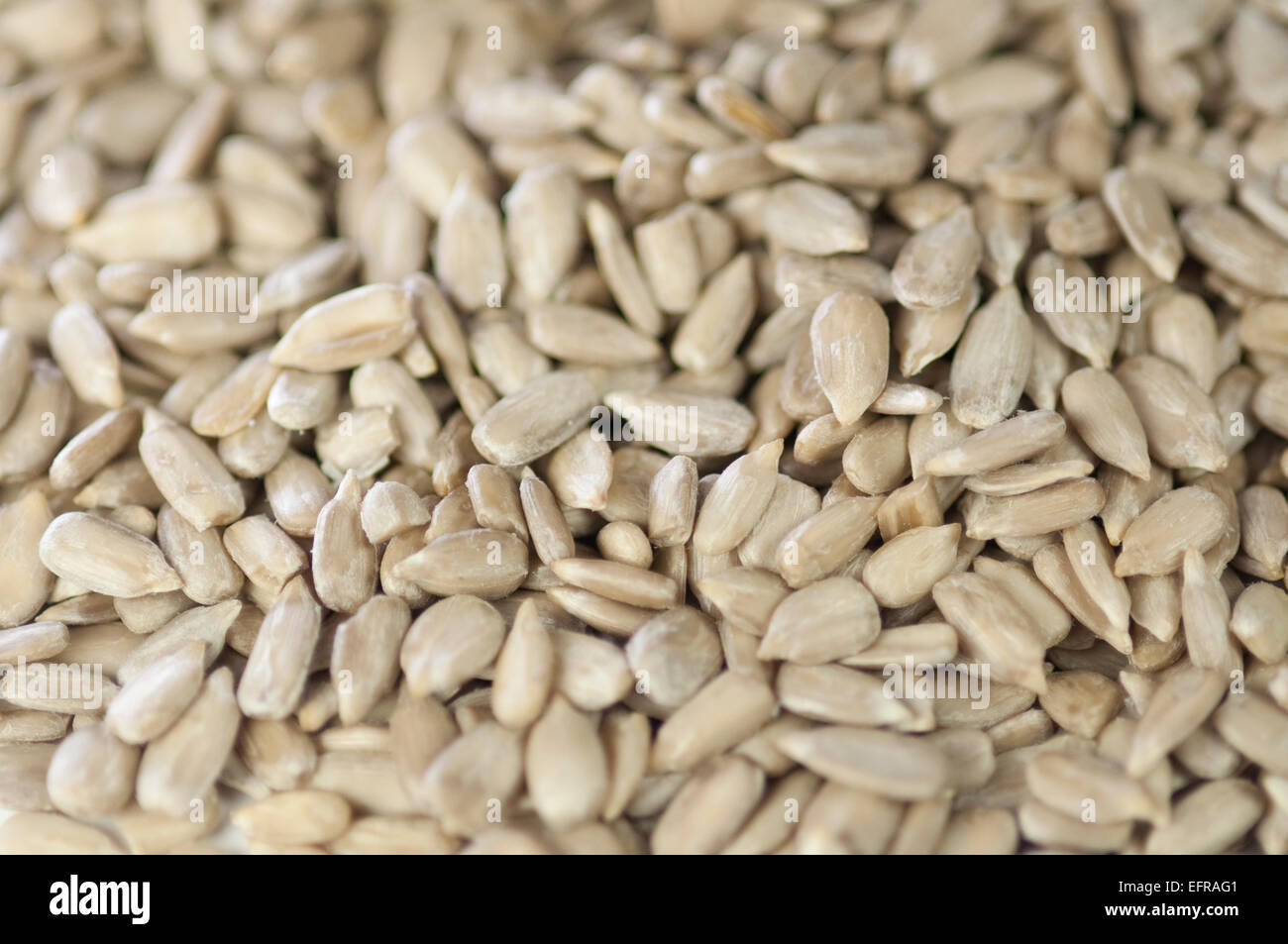 Sunflower seeds full frame hi-res stock photography and images - Alamy