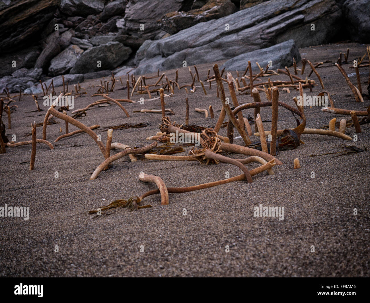 Rame Peninsula, Cornwall, UK Stock Photo - Alamy