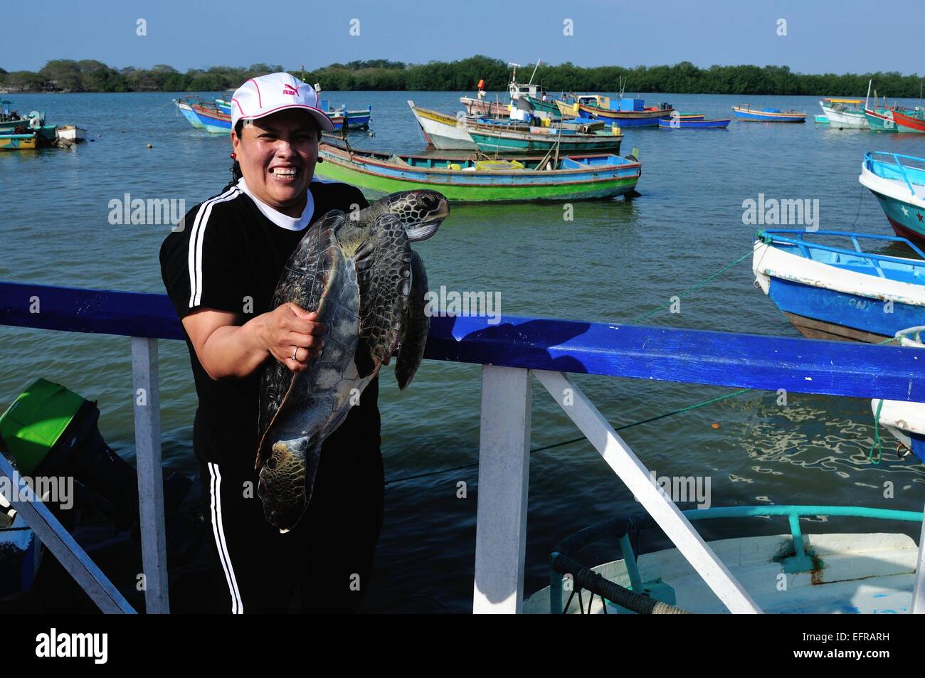 Stranded turtle - Dock in PUERTO PIZARRO. Department of Tumbes .PERU ...