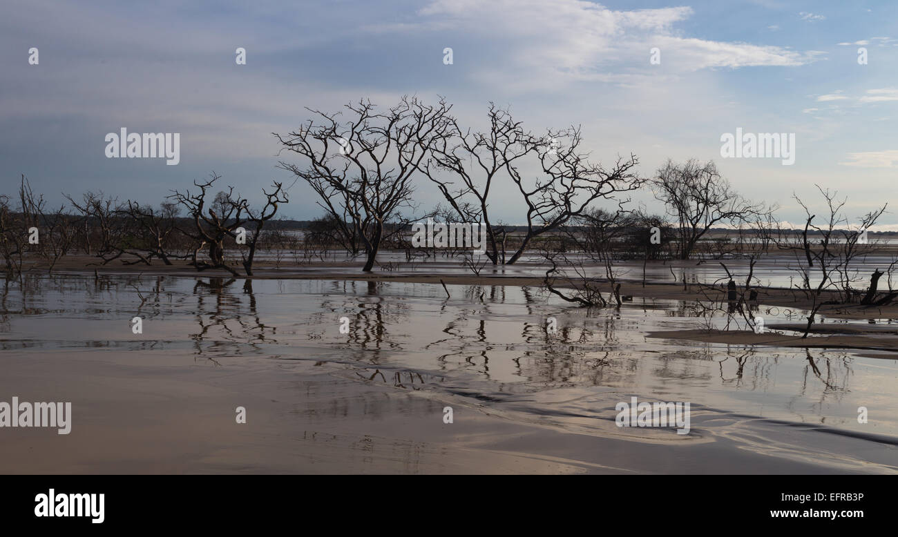 Quarrying mining deforestation hi-res stock photography and images - Alamy