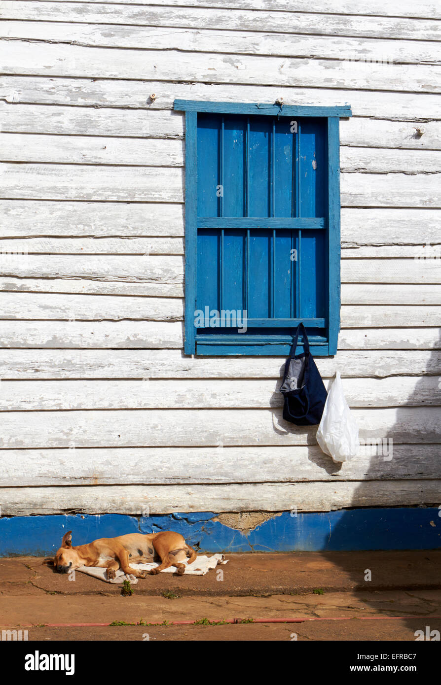 Dog sleeping under window hi-res stock photography and images - Alamy