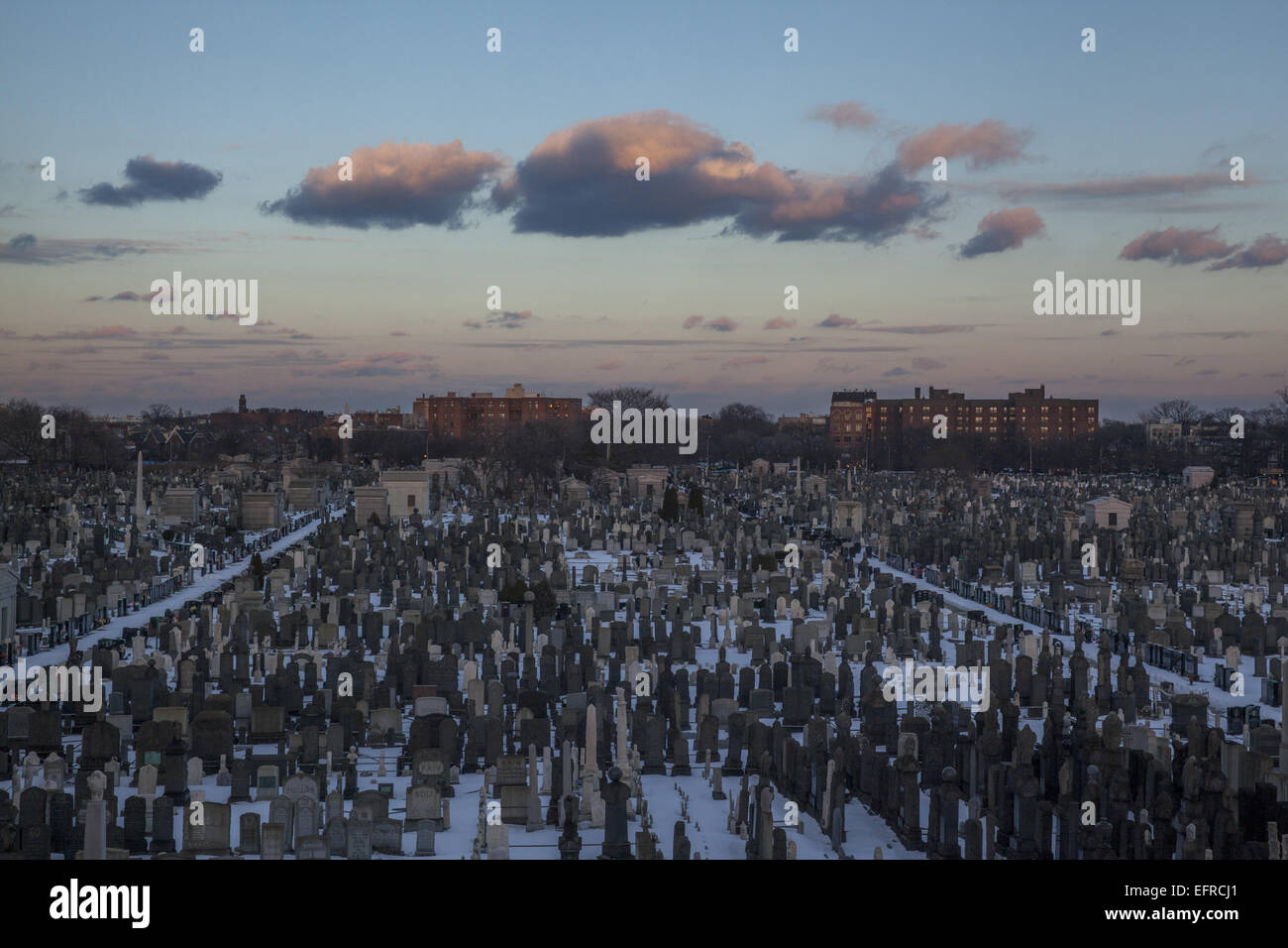 Washington Cemetery is an old, historical, predominantly Jewish burial ...