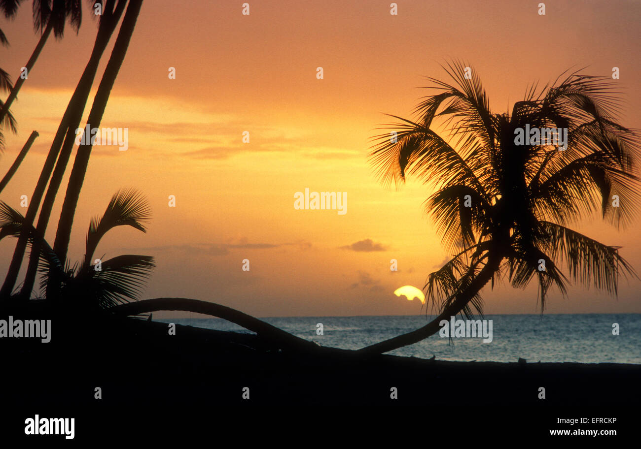 Tropical Sunset, Tobago Stock Photo - Alamy