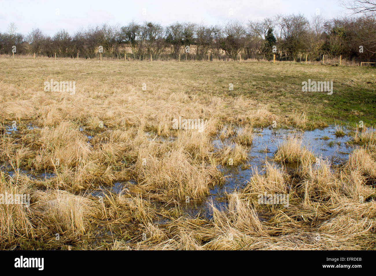 Fenland trail hi-res stock photography and images - Alamy