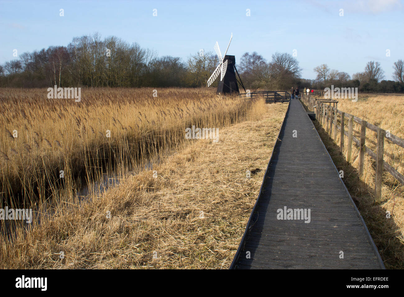 Wicken fen nature reserve hi-res stock photography and images - Alamy