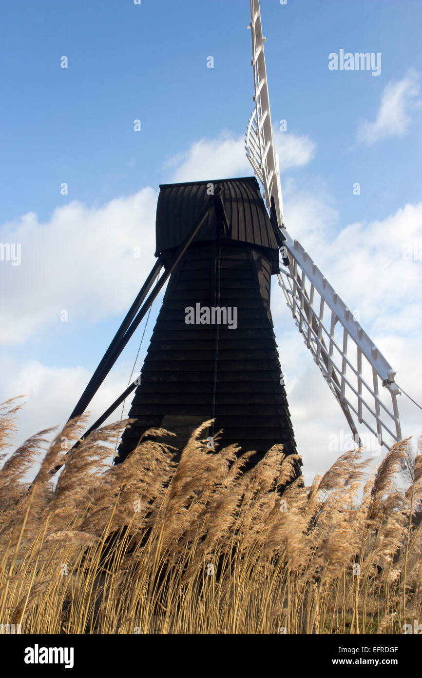 Fenland with windmill hi-res stock photography and images - Alamy