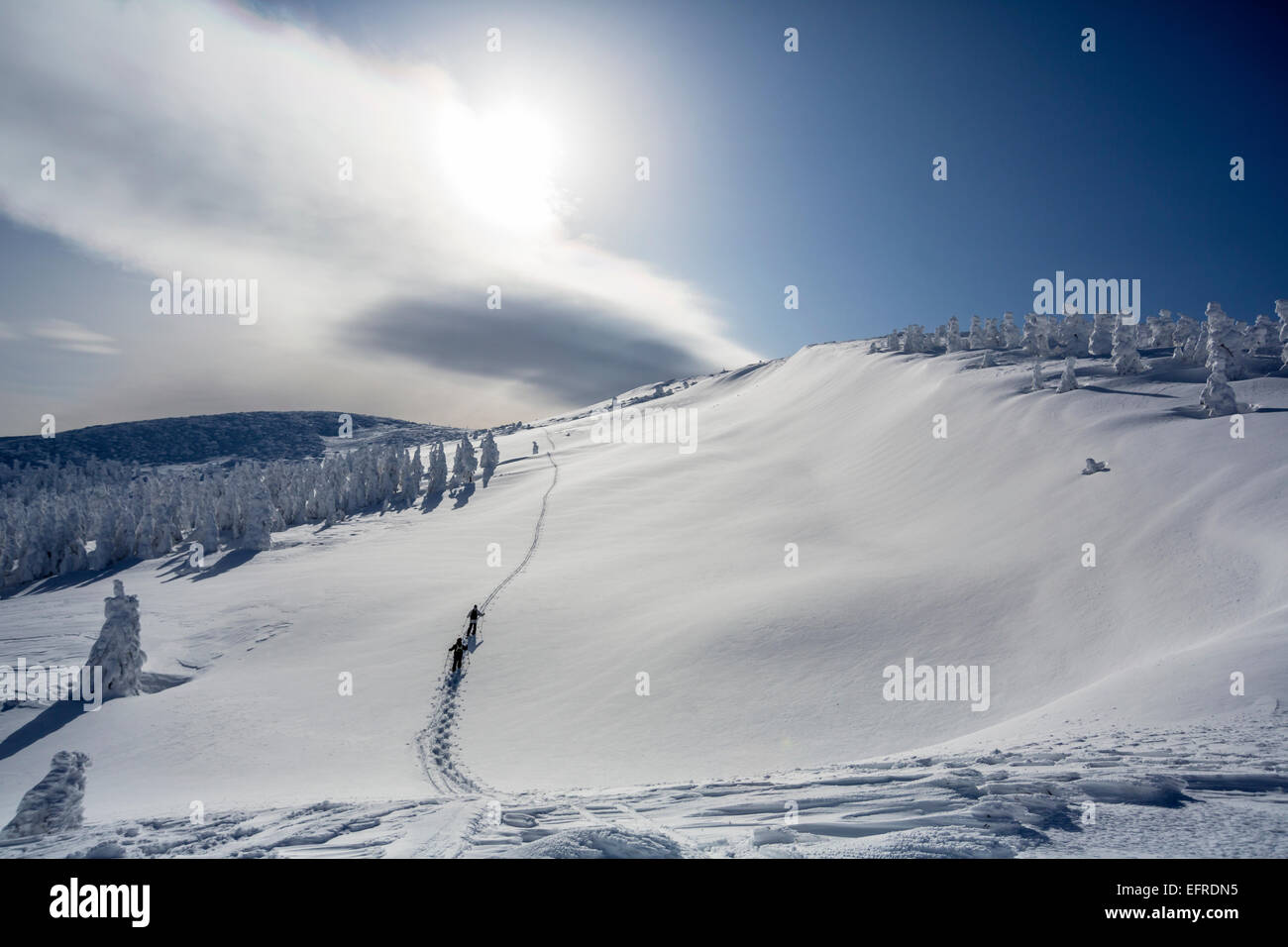 Mount Zao in Winter, Japan Stock Photo - Alamy