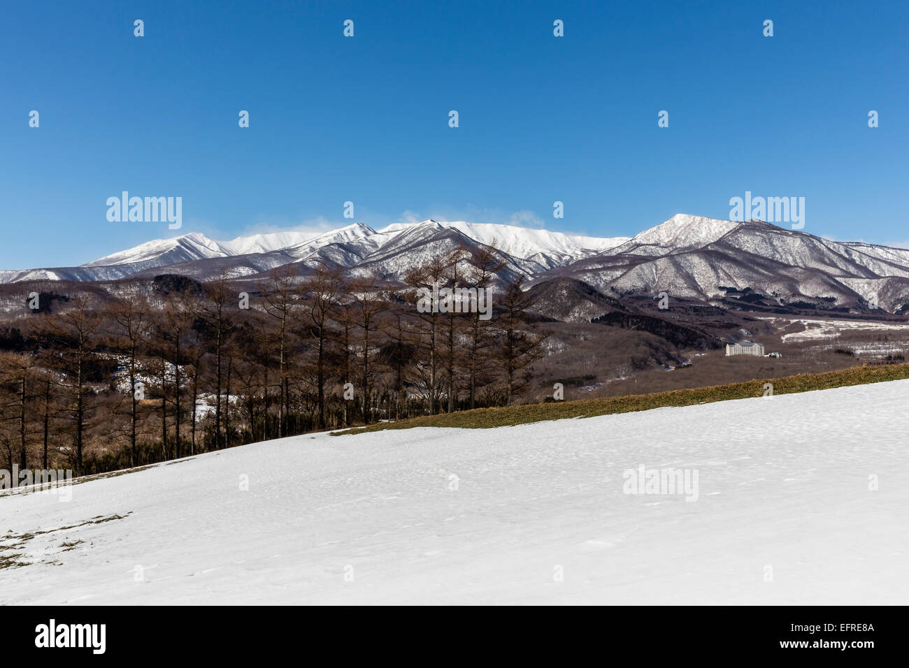 Mount Zao in Winter, Yamagata, Japan Stock Photo - Alamy