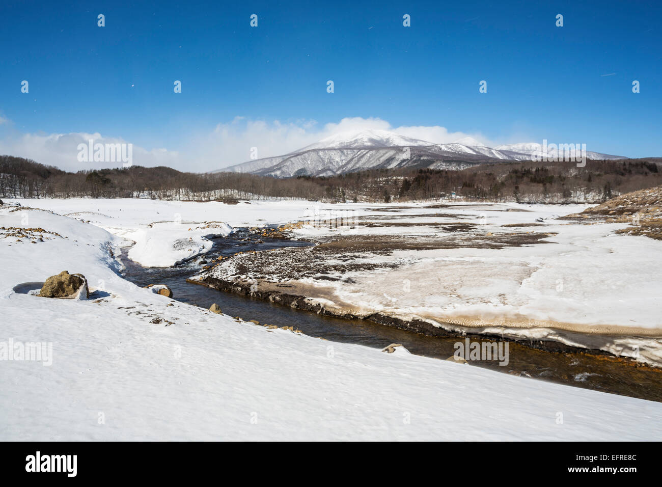 Mount Zao in Winter, Yamagata, Japan Stock Photo - Alamy