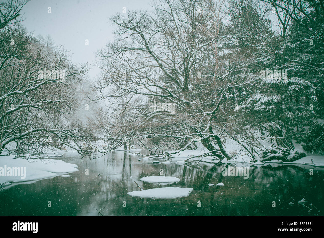 Tochigi hi-res stock photography and images - Alamy