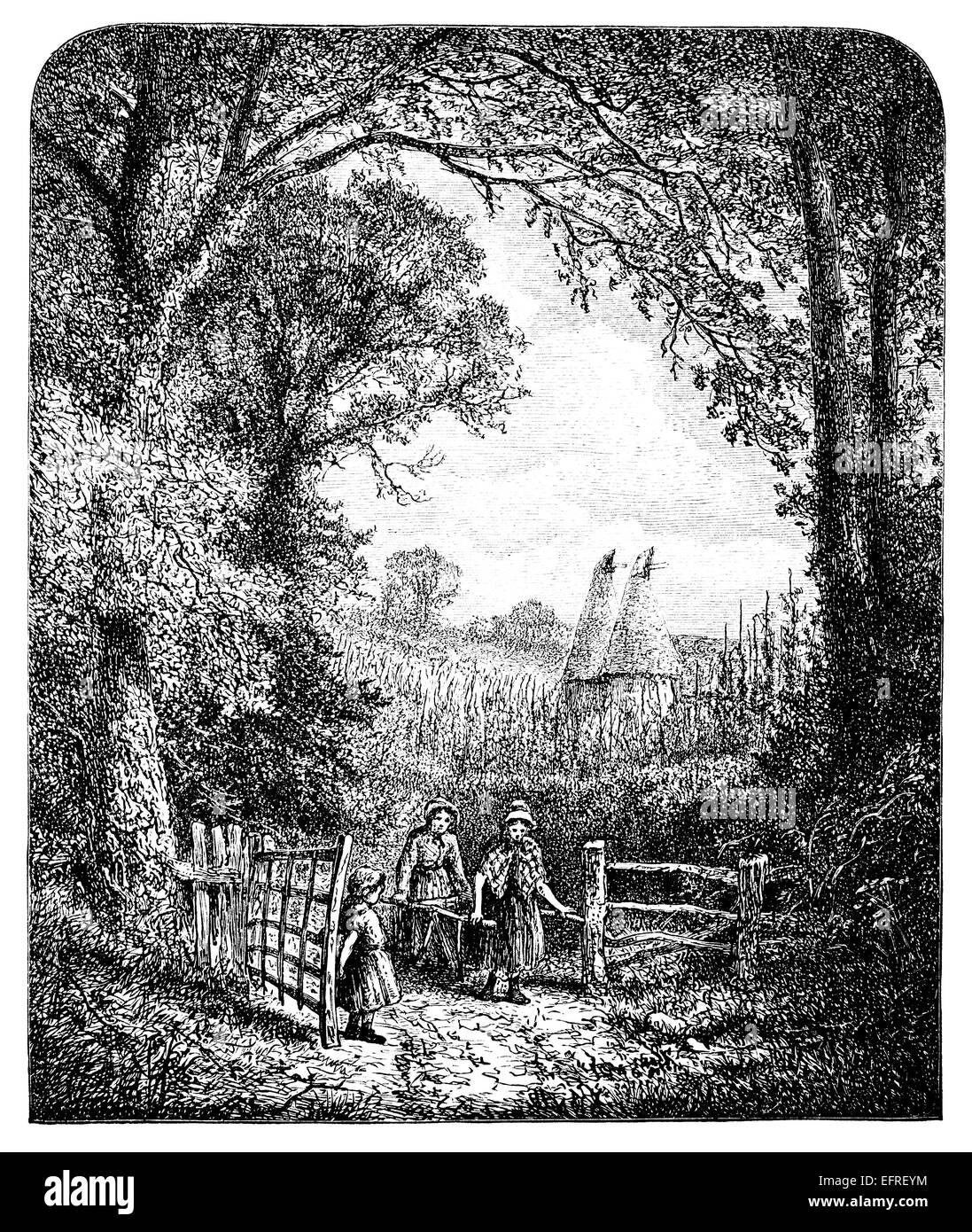 English crop field Black and White Stock Photos & Images - Alamy