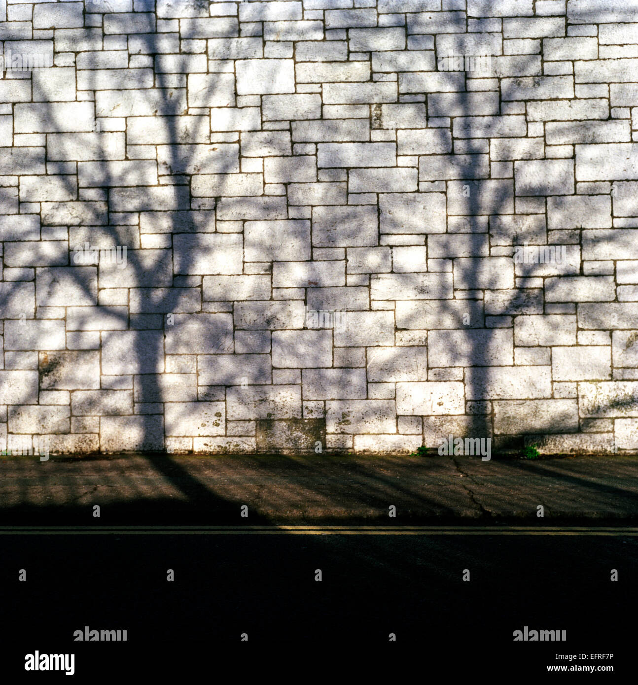 Winter sunlight and shadows of trees on the wall of University College ...