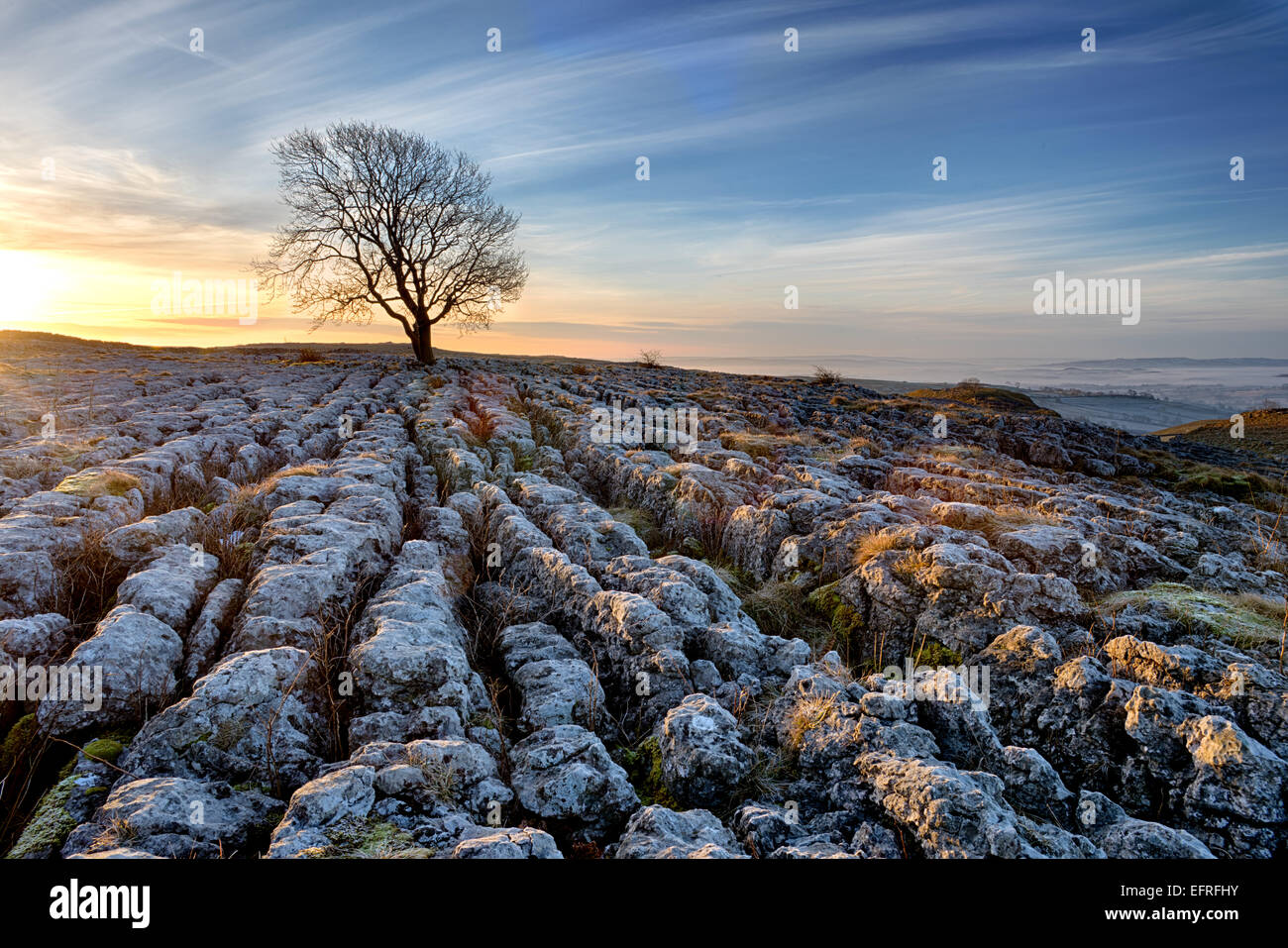 Limestone Pavement, Malham, Yorkshire Dales, England, UK Stock Photo ...