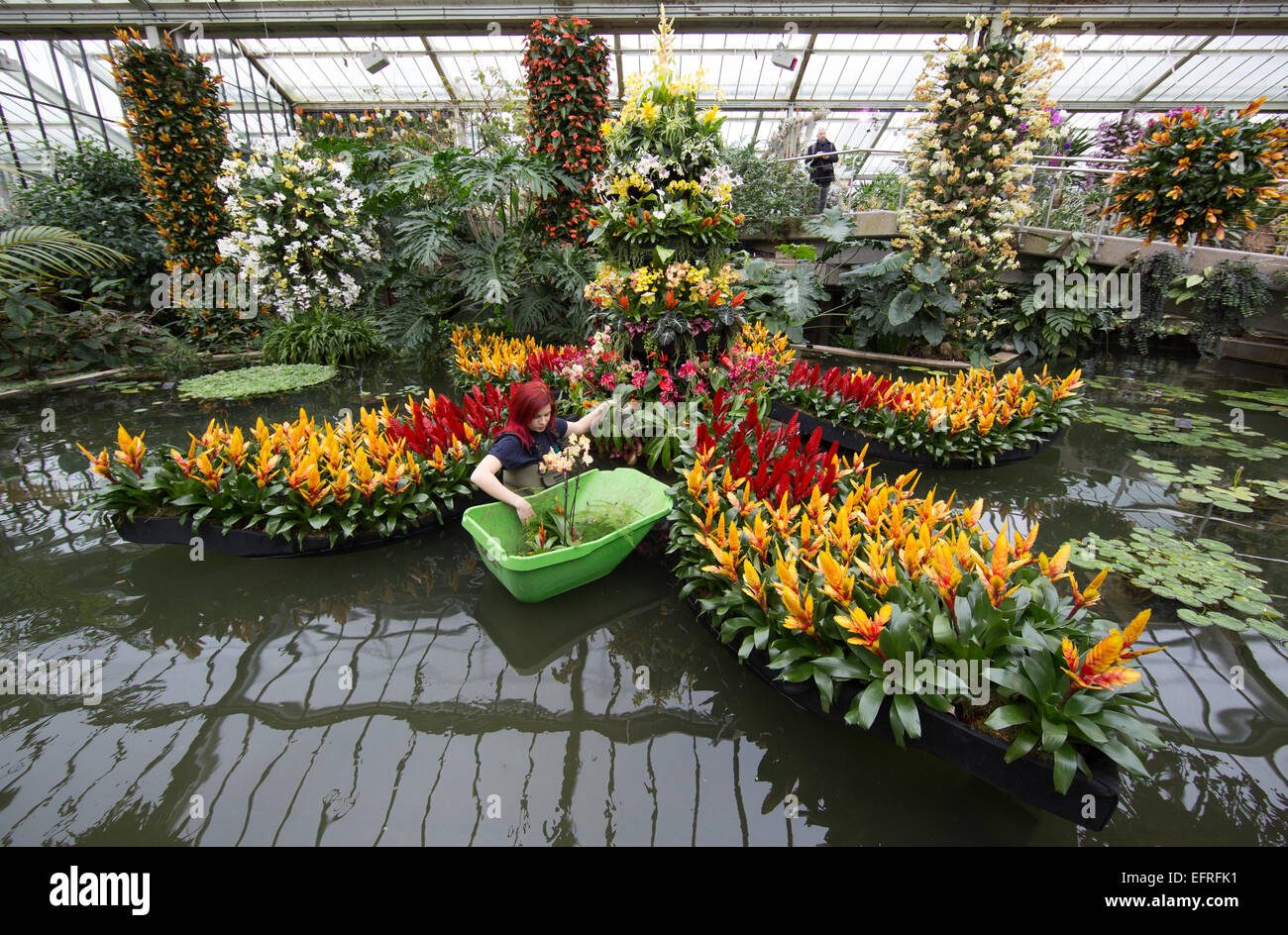 Thursday, February 5, 2015 Kew horticulture staff from Kew Gardens ...