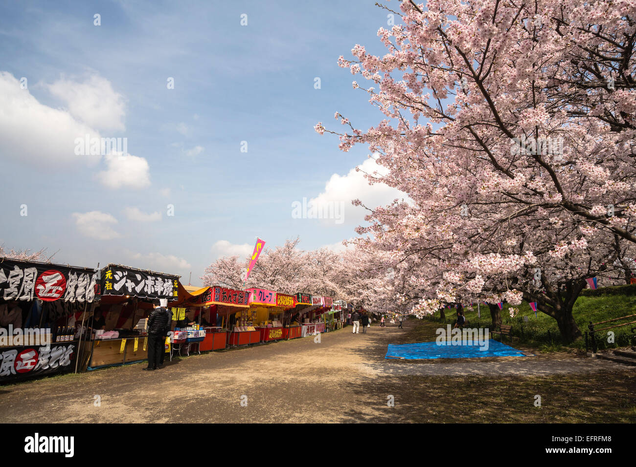 Tsutsumi Plant High Resolution Stock Photography and Images - Alamy