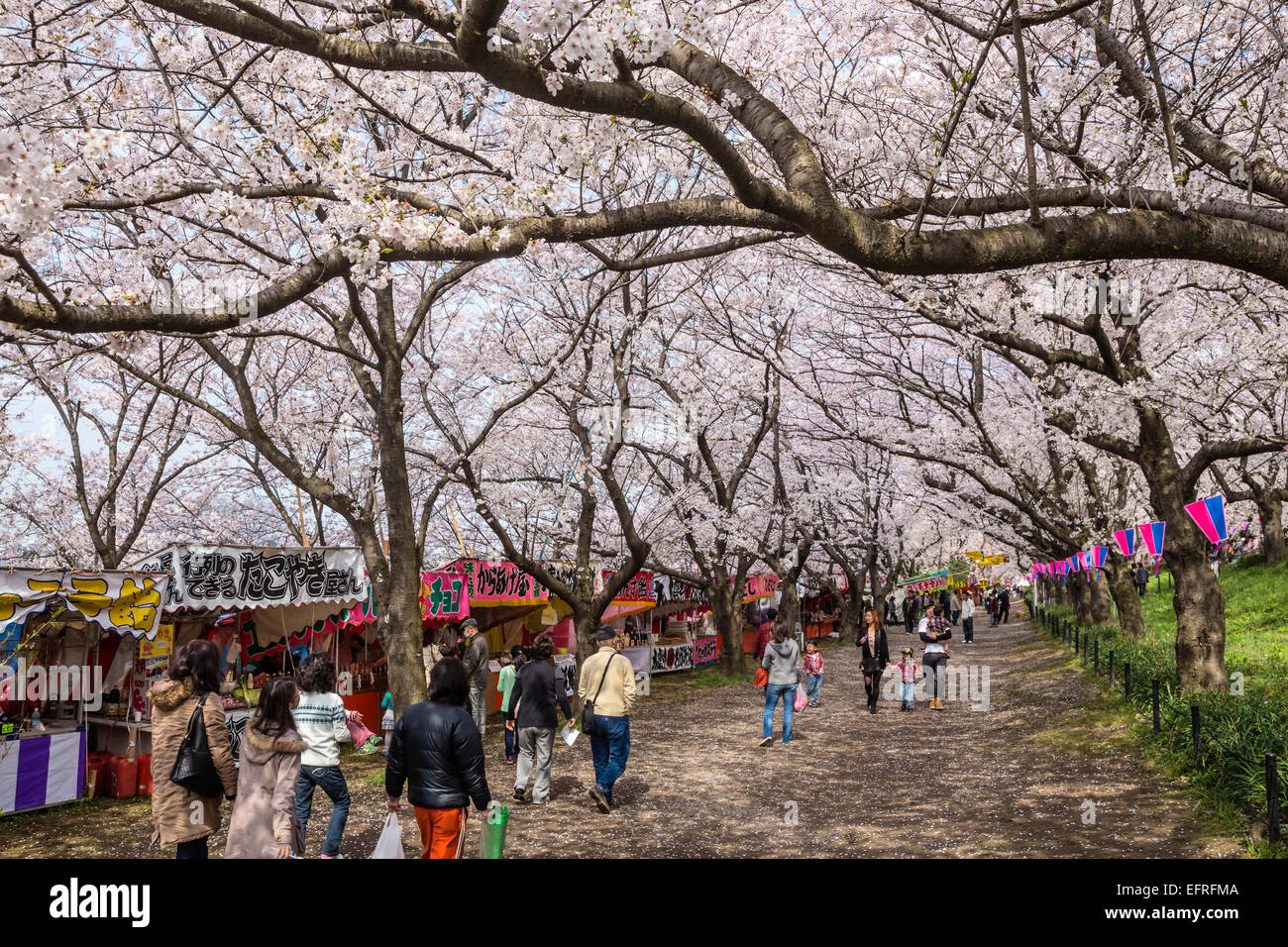 Tsutsumi Plant High Resolution Stock Photography and Images - Alamy