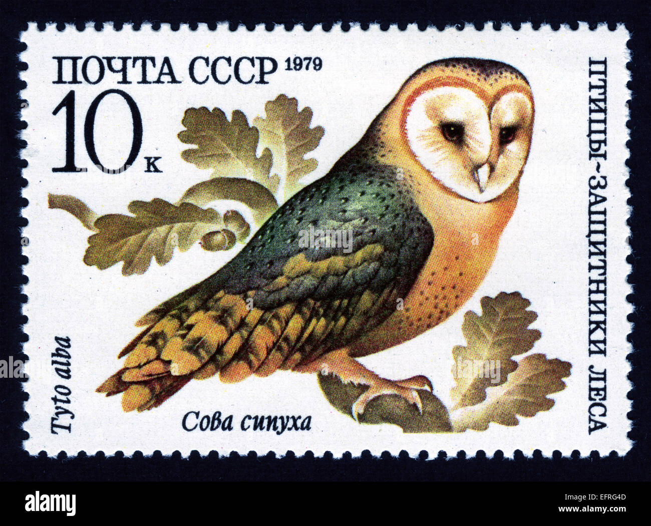Vintage owl illustrations hi-res stock photography and images - Alamy