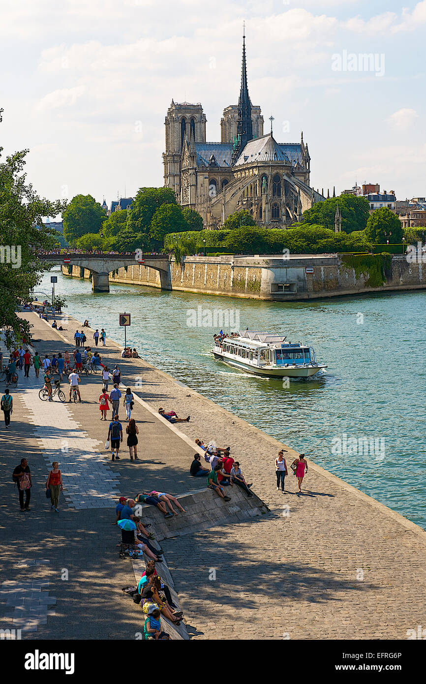 Notre Dame Cathedral and the Seine River, Paris, France Stock Photo - Alamy
