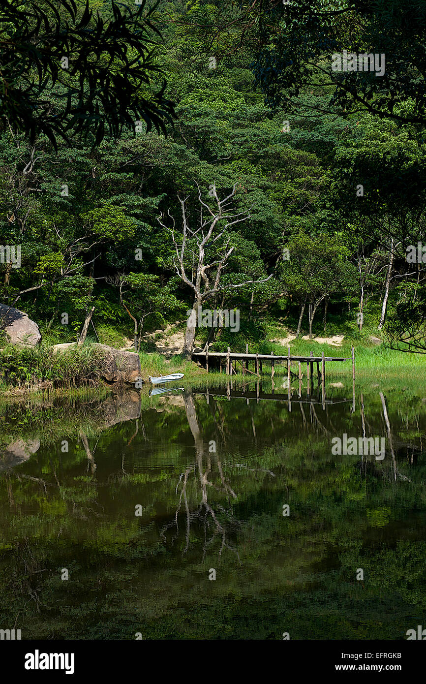 Trees Reflected on the Surface of Lake, Taipei, Taiwan Stock Photo - Alamy