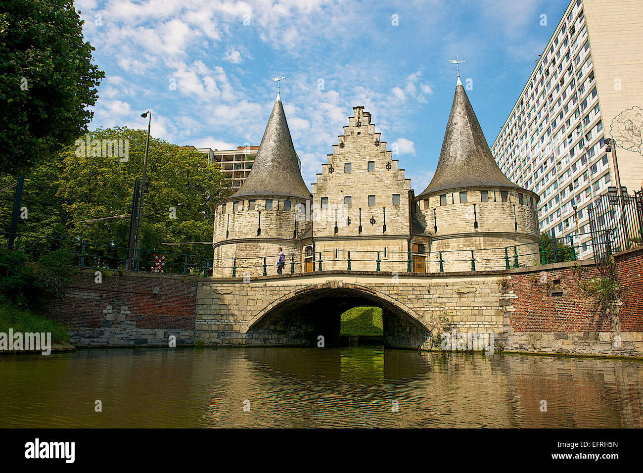 Ghent tree hi-res stock photography and images - Alamy