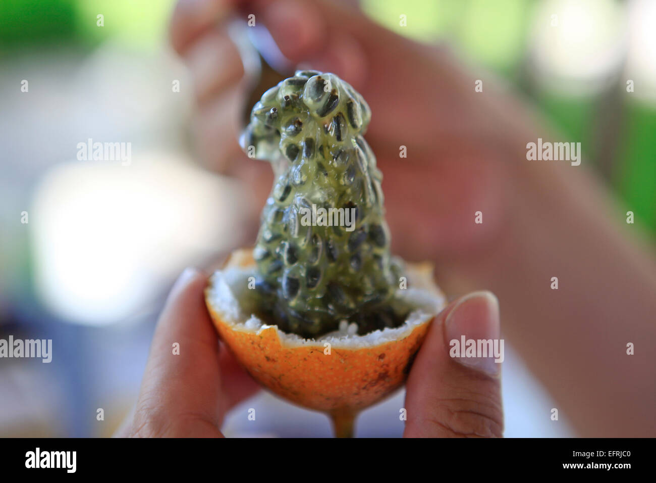 Hand of a man eating passion fruits Stock Photo - Alamy