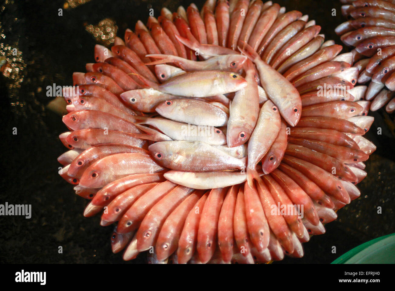 Indonesia fish hi-res stock photography and images - Alamy