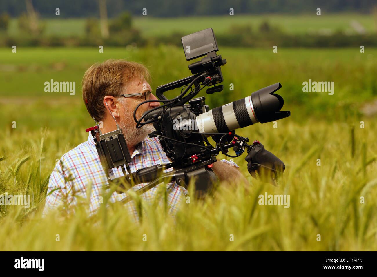Cameraman at work in a wheat field Stock Photo - Alamy